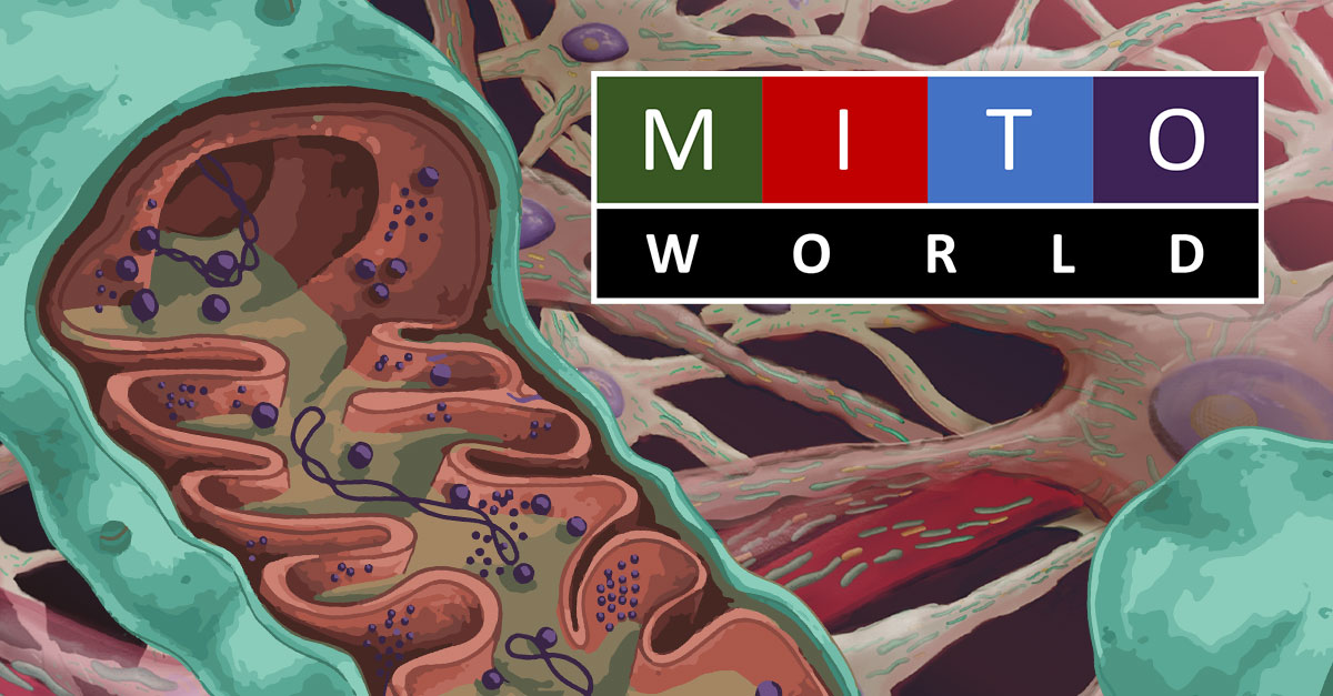 MitoWorld